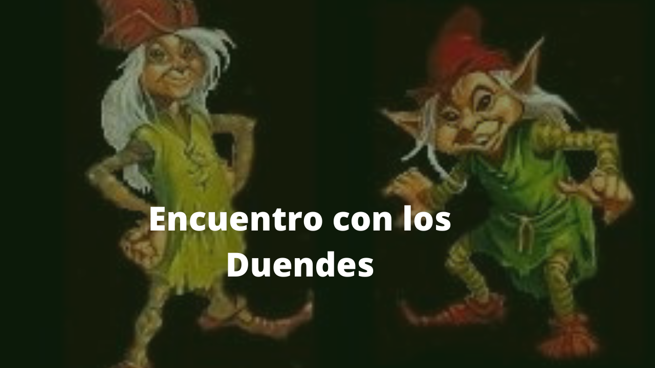 Encuentro con los Duendes - Coseguro